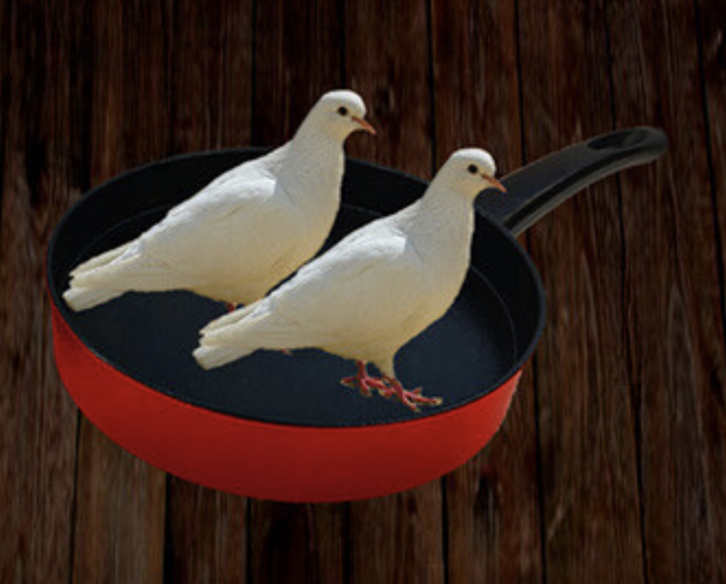 Modern Dove Pan